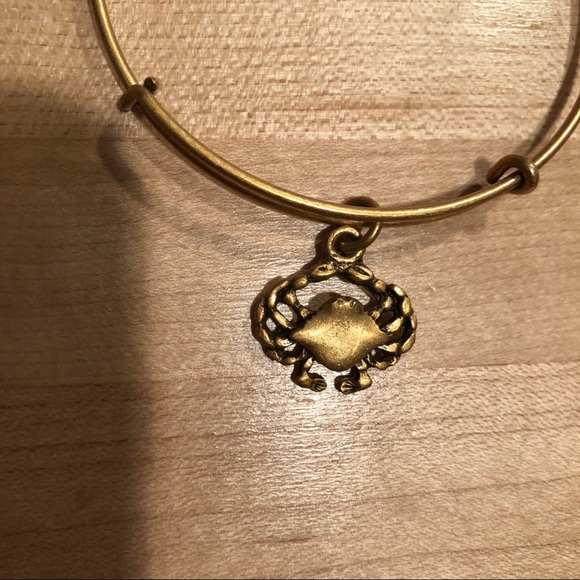 Alex and Ani | Jewelry | Rare Alex And Ani Crab Bangle | Poshmark